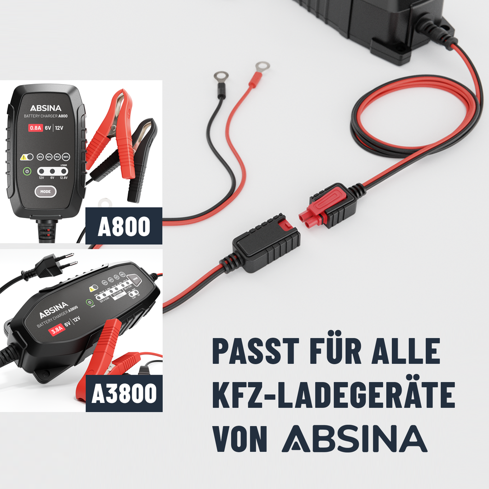 Batterieanschlusskabel M8 Ringösen - ABSINA